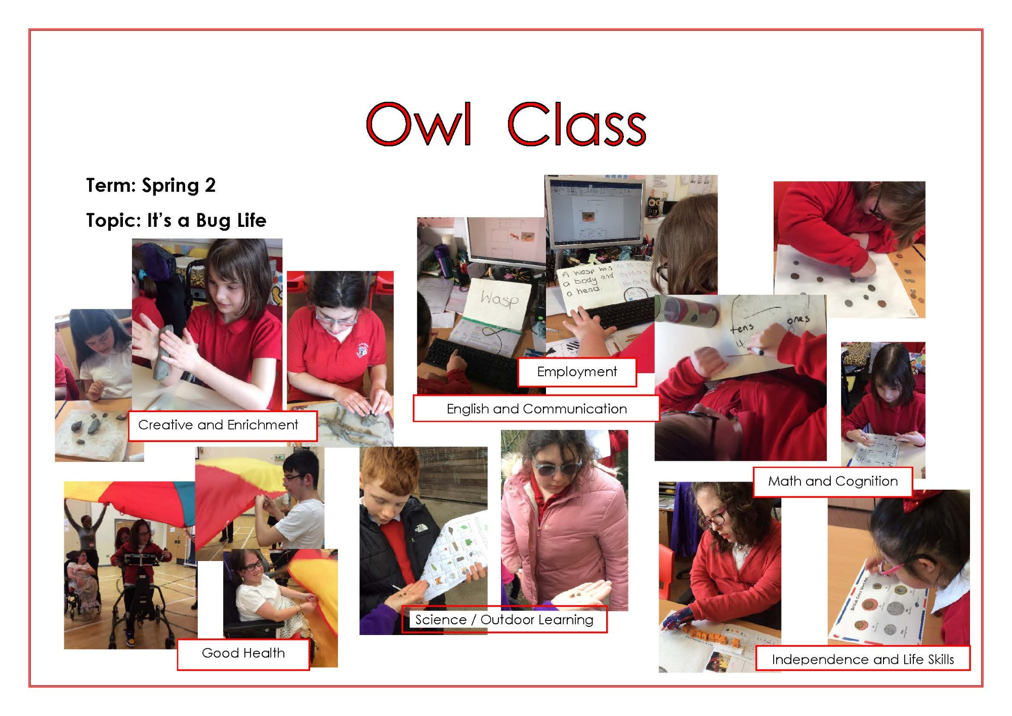 North Ridge Community School - Owl Class
